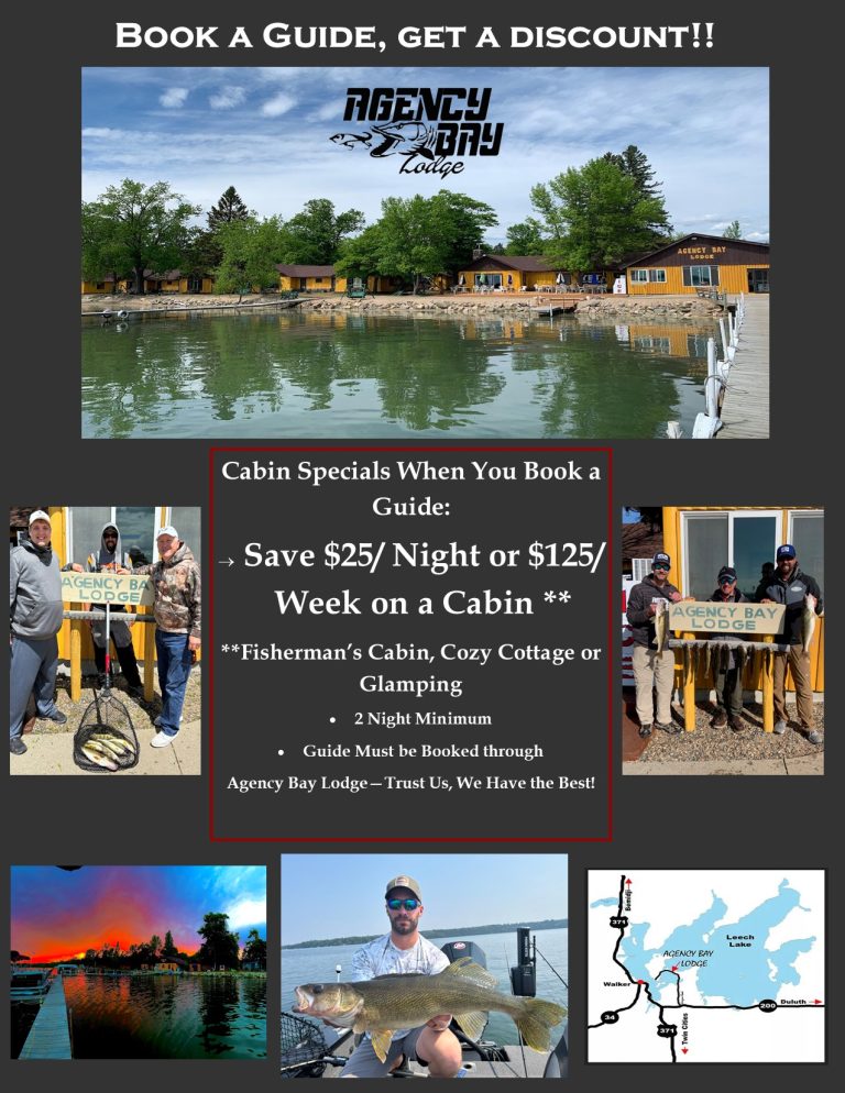 What's New at ABL